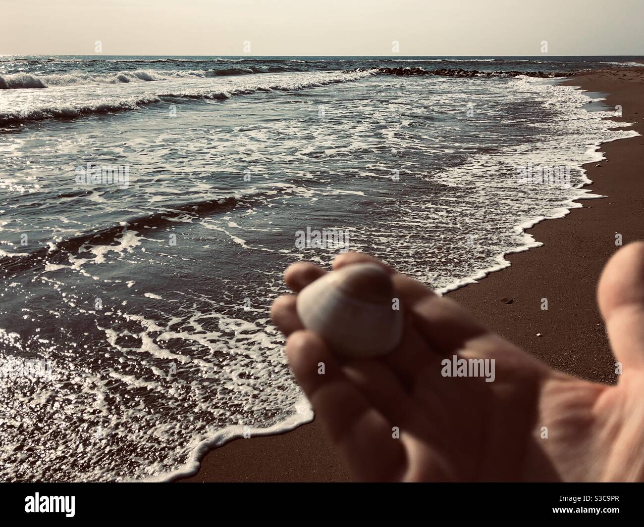 Hand holding oyster beach hi-res stock photography and images - Alamy