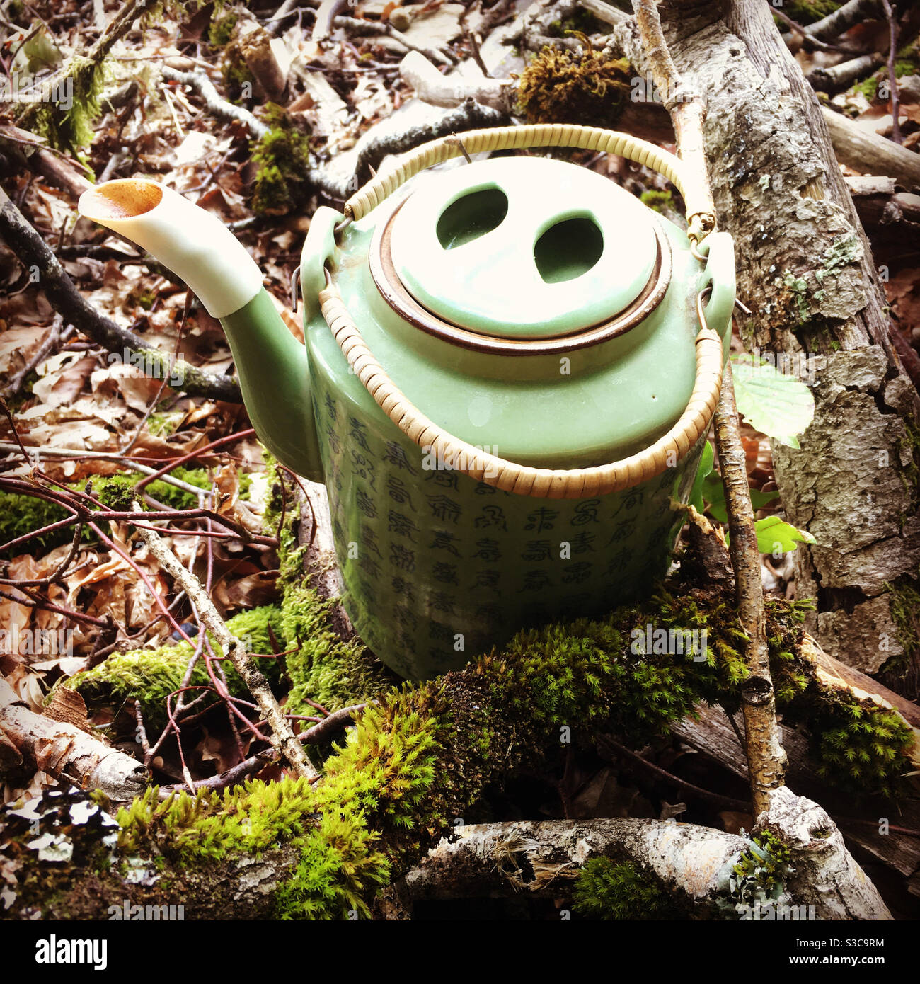 Drinking tea in the forest Stock Photo - Alamy