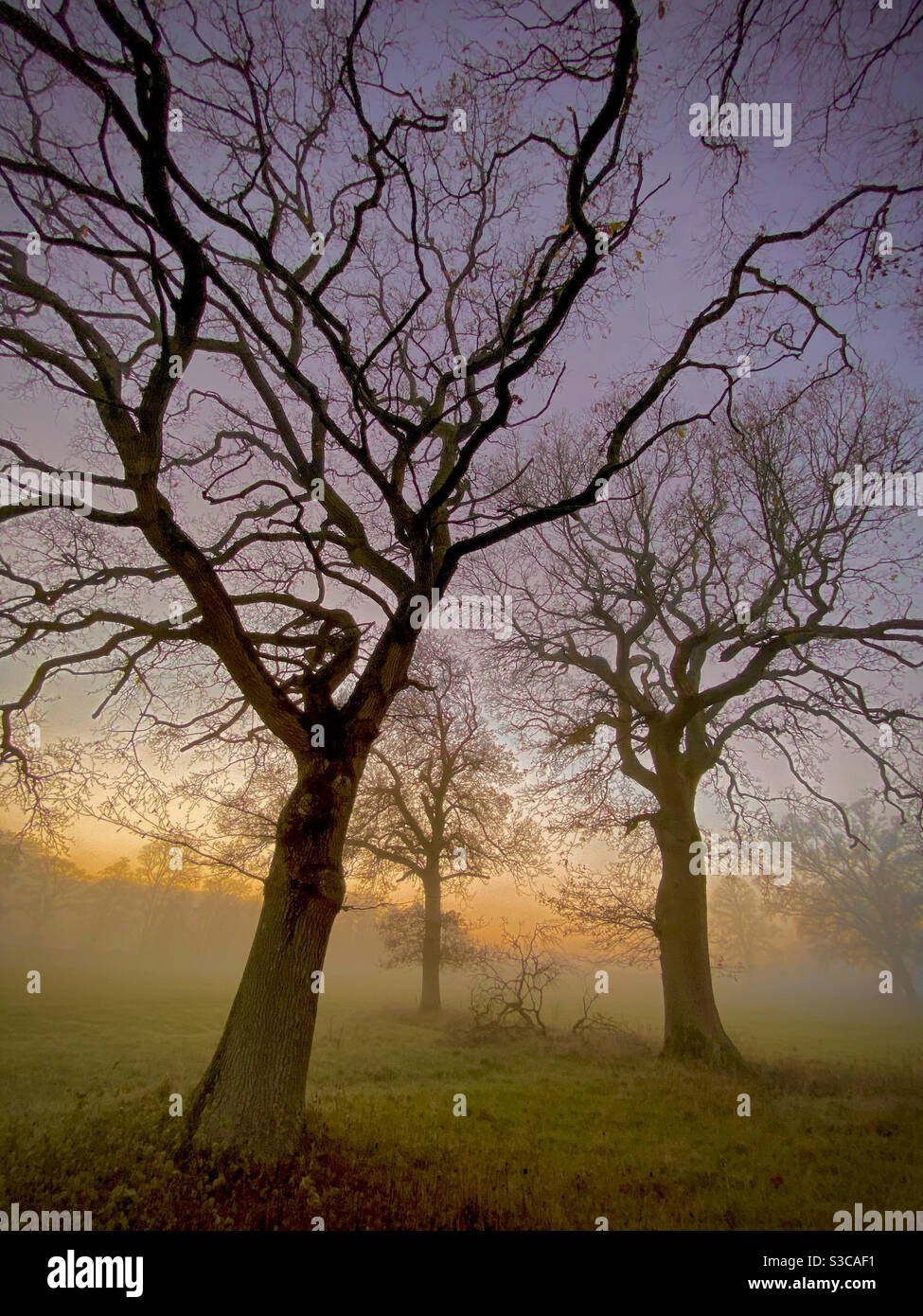 Milky mist hi-res stock photography and images - Alamy