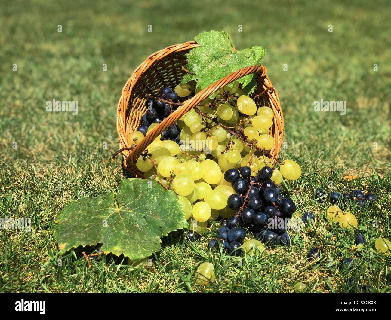 Spilled fruits hi-res stock photography and images - Alamy