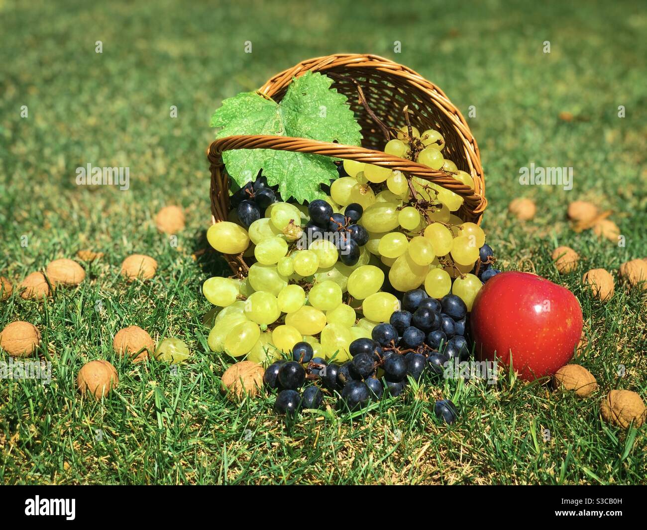 Black grapes nuts hi-res stock photography and images - Alamy