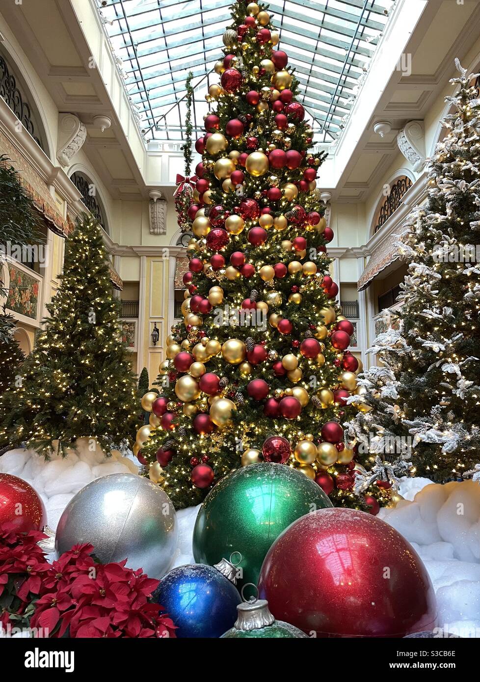 Indoor Christmas trees and decoration display Stock Photo - Alamy