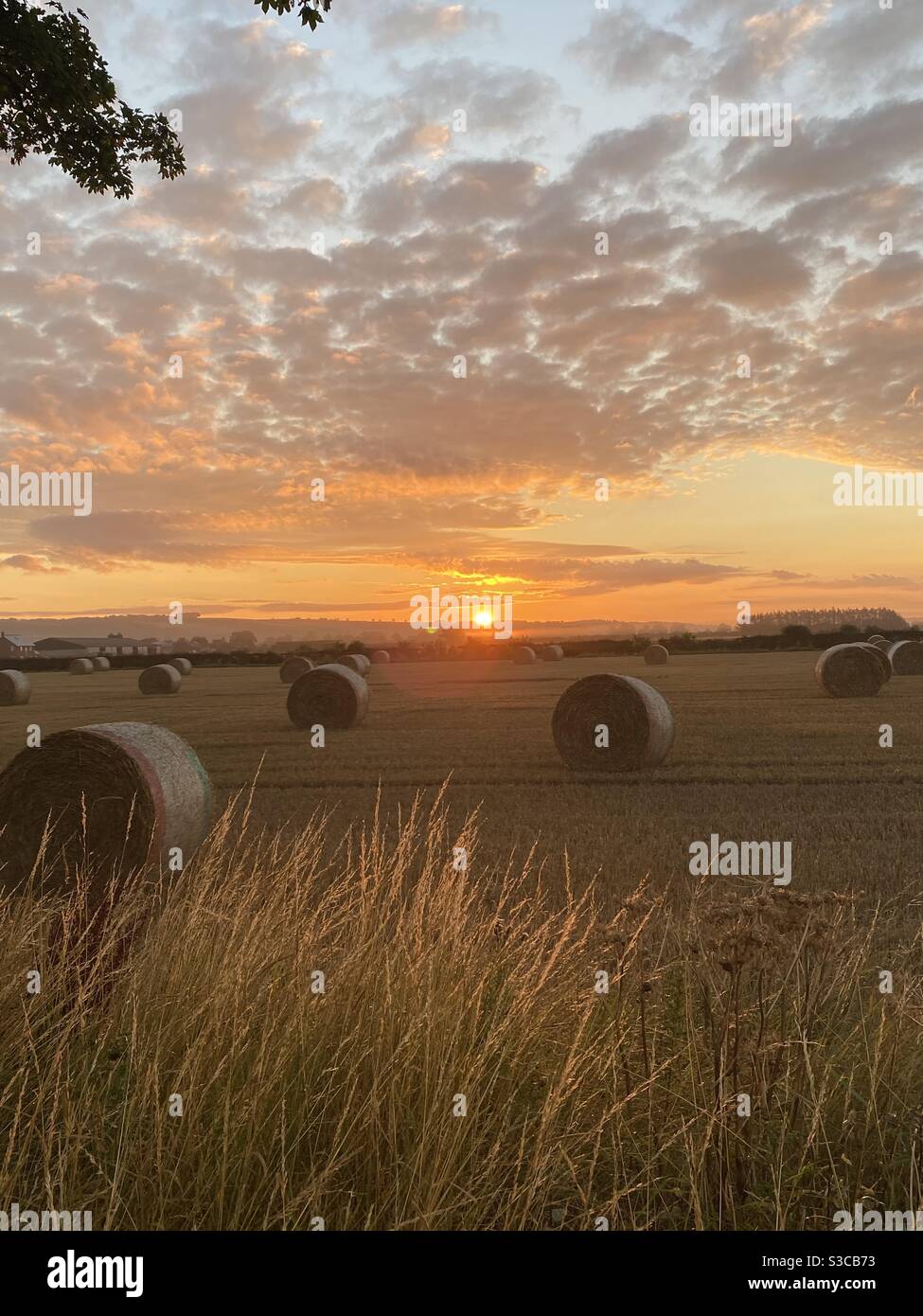 Sunrise harvest hi-res stock photography and images - Alamy