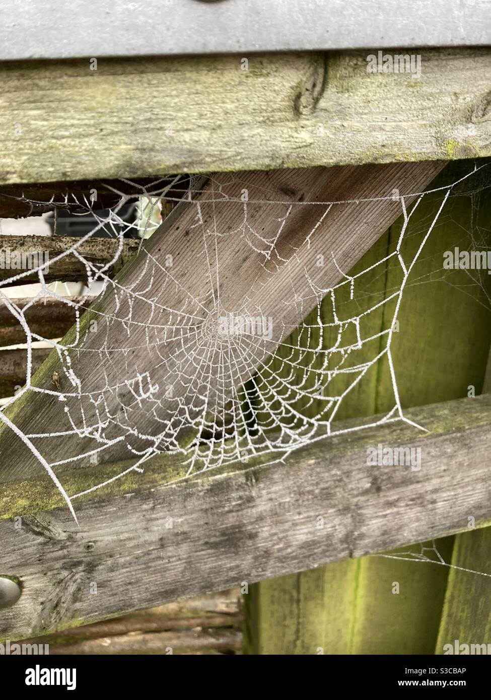 Spider Gate High Resolution Stock Photography and Images - Alamy