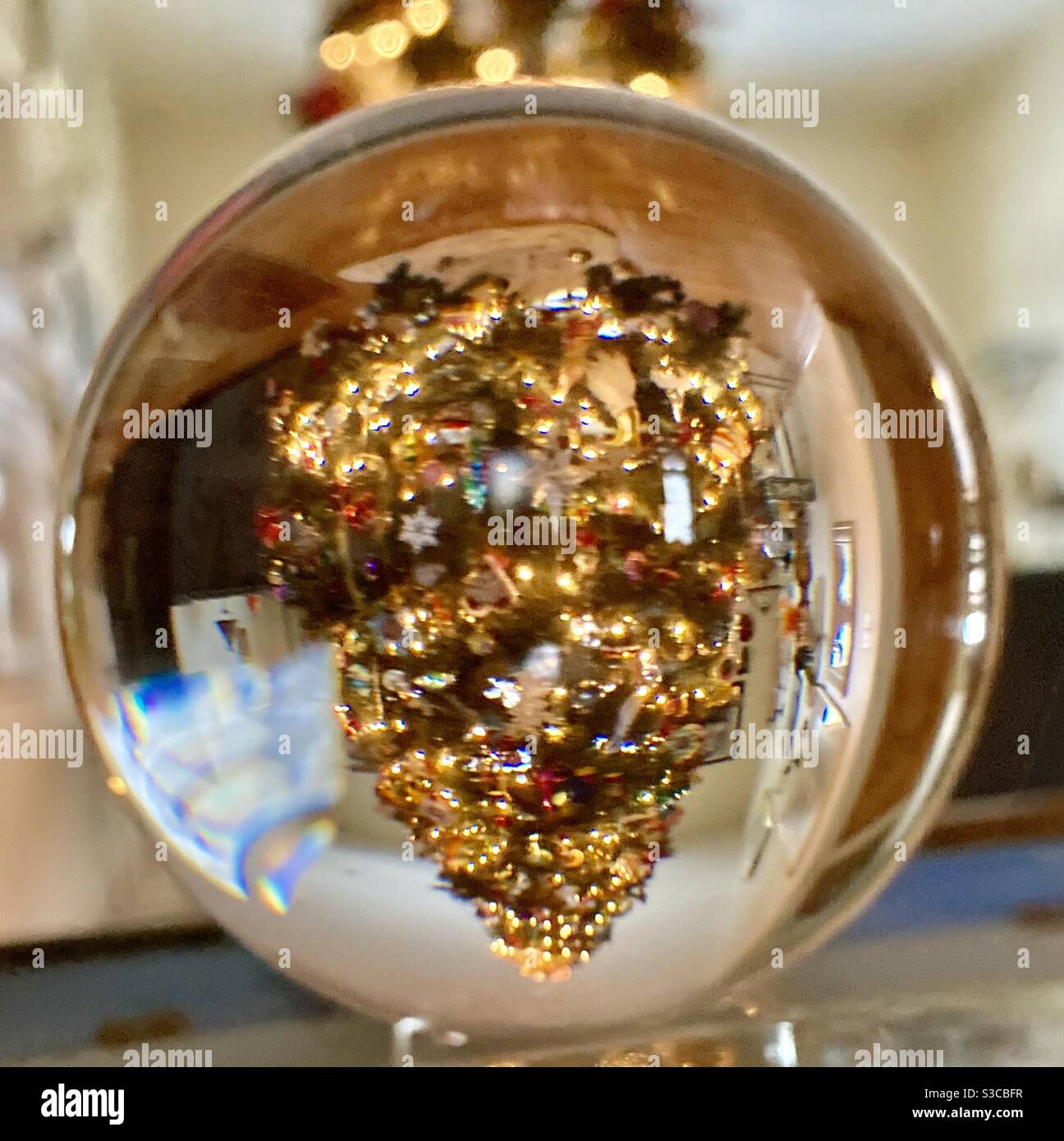 Christmas tree in a lens ball Stock Photo - Alamy