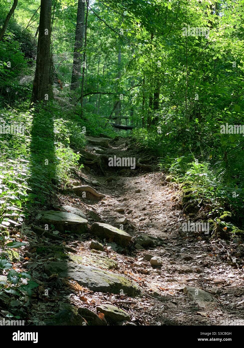 Off beaten paths hi-res stock photography and images - Alamy