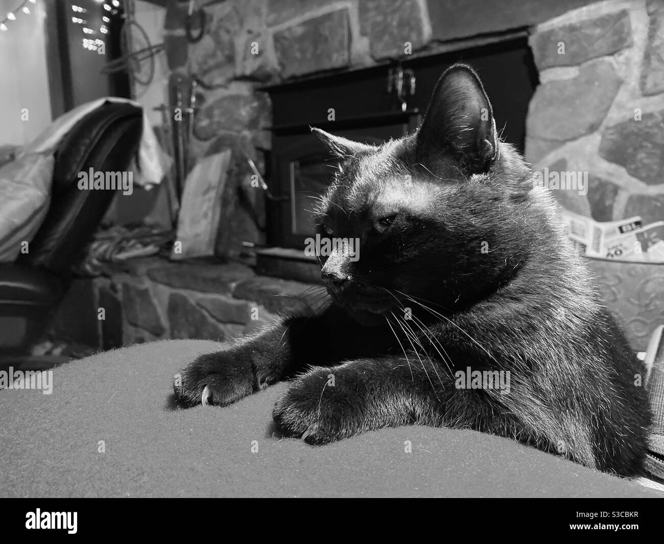 Opposable thumbs hi-res stock photography and images - Alamy