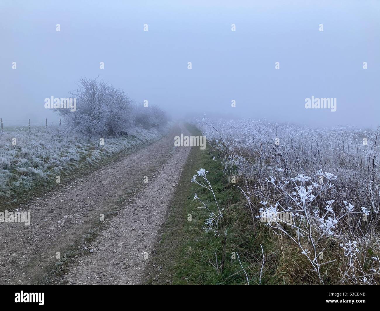 Foggy, frozen path Stock Photo - Alamy