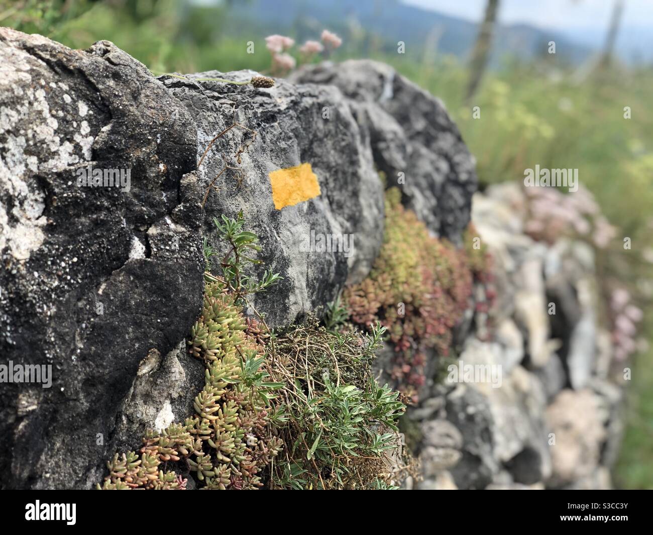Hiking direction sign hi-res stock photography and images - Alamy