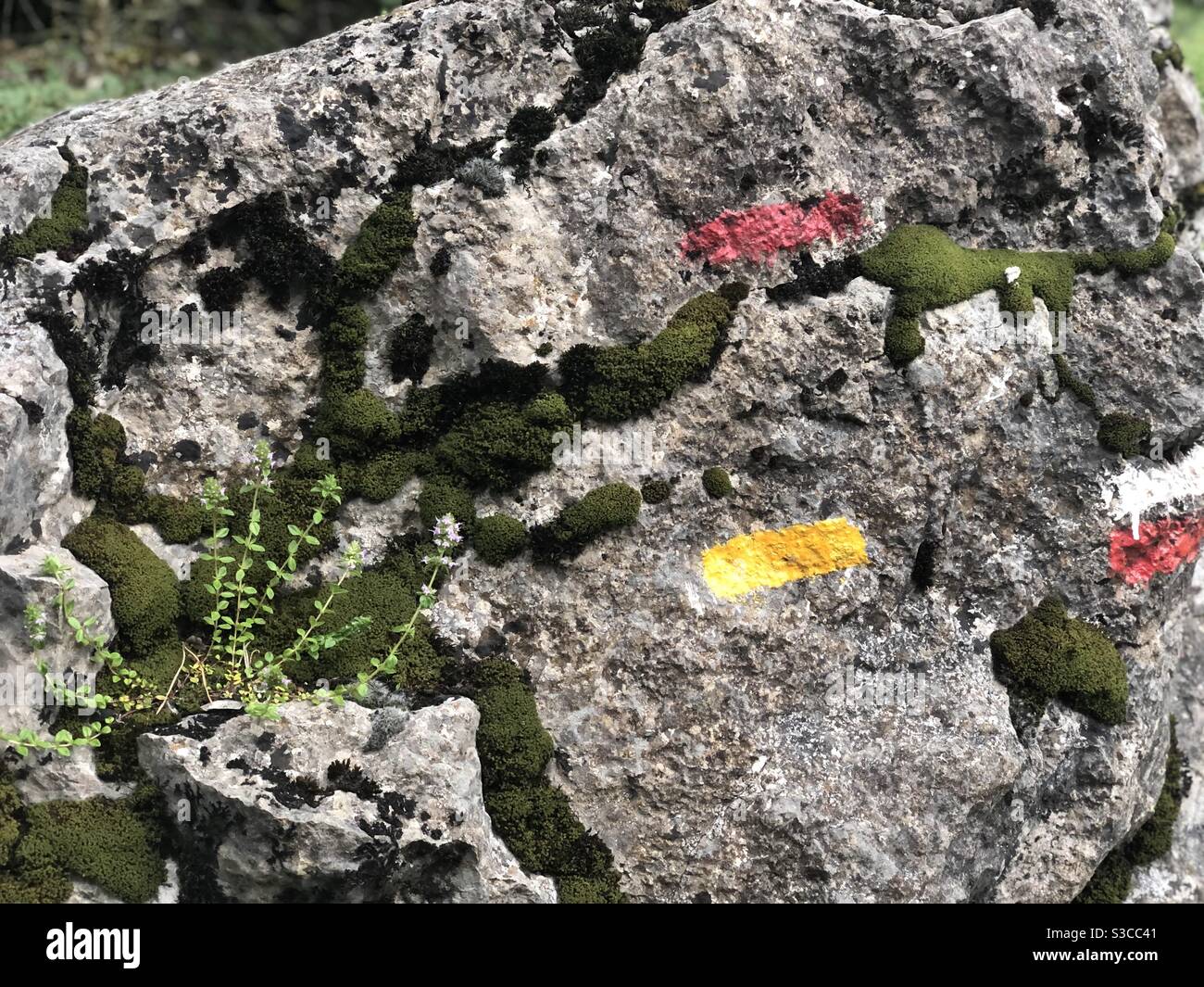 Hiking sign with nature coming out of stones Stock Photo - Alamy