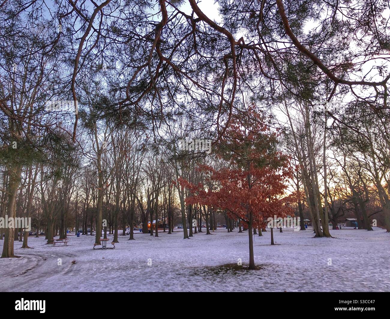 Peaceful winter landscape hi-res stock photography and images - Alamy