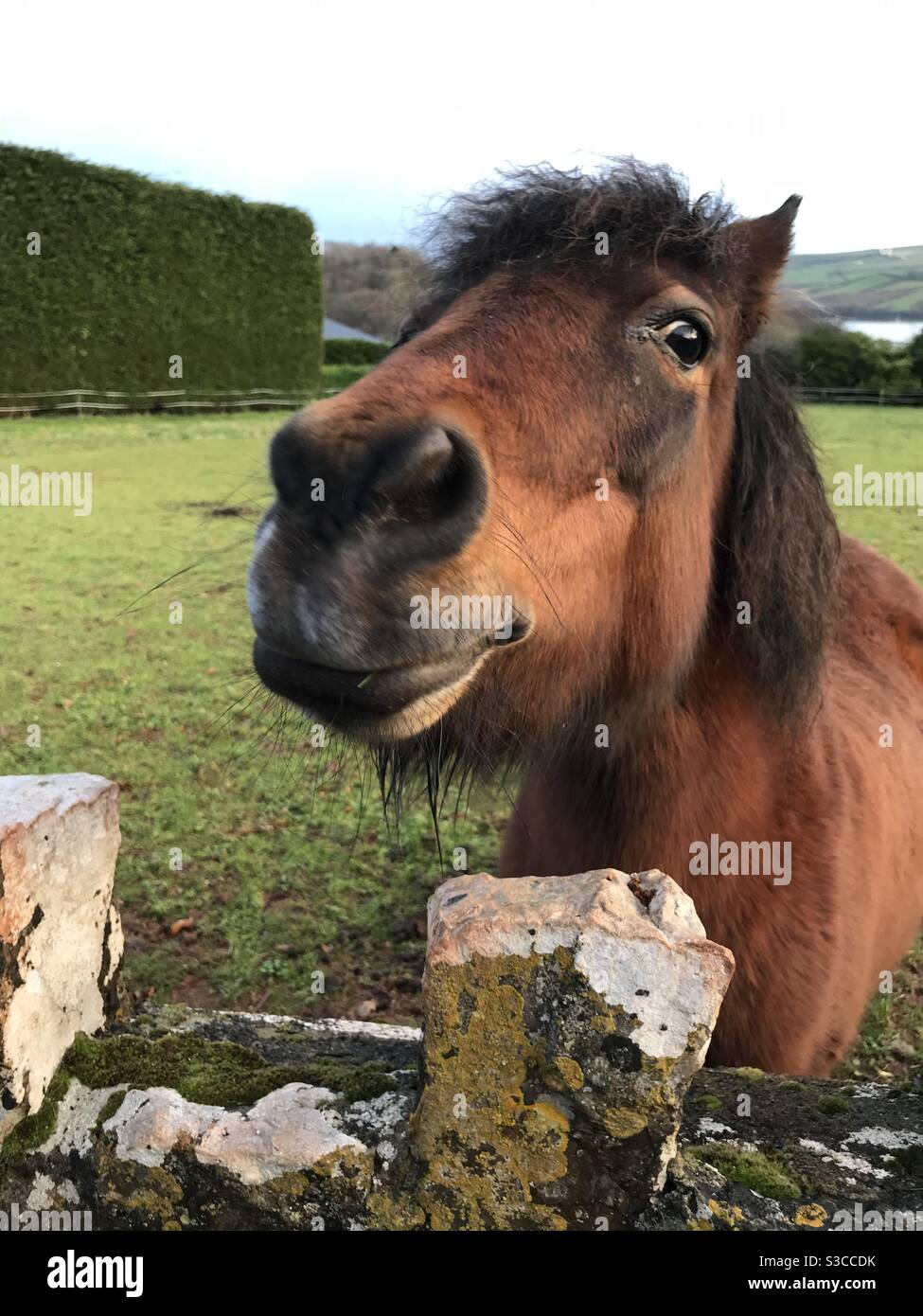Pony wall High Resolution Stock Photography and Images - Alamy