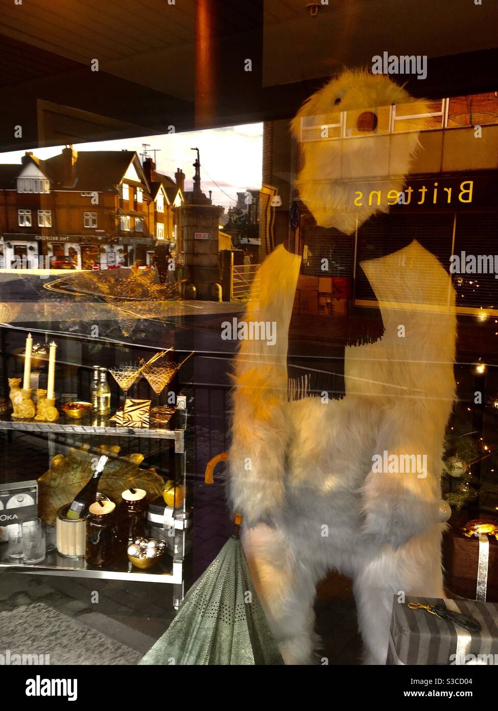 Shop window reflections Stock Photo - Alamy