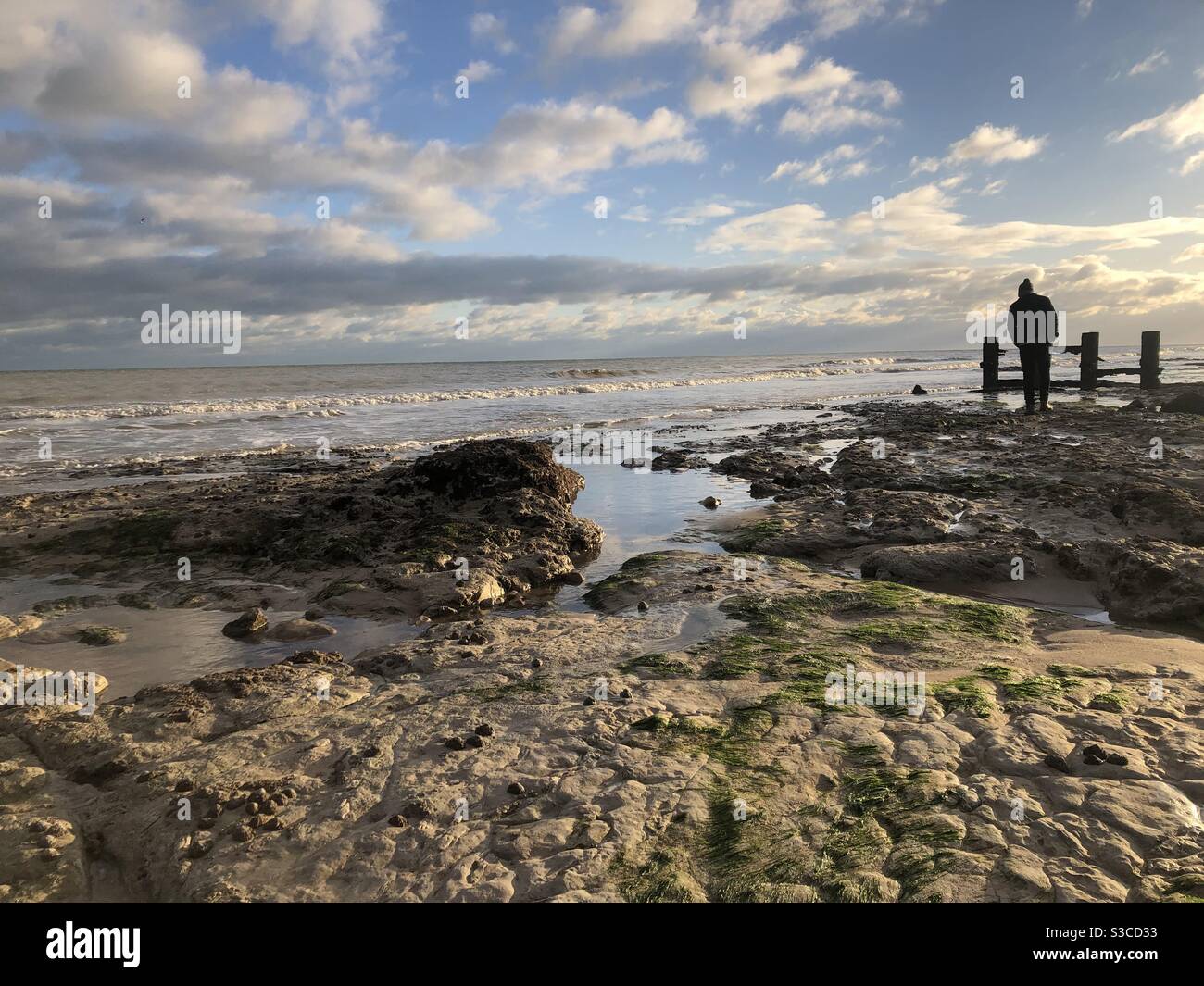 Rock pooling hi-res stock photography and images - Alamy