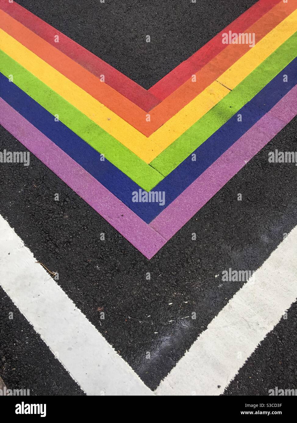 A rainbow colored crosswalk was installed in Washington DC at the ...