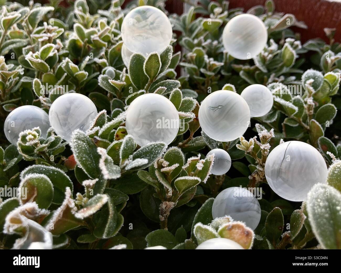 Bubble frost hi-res stock photography and images - Alamy