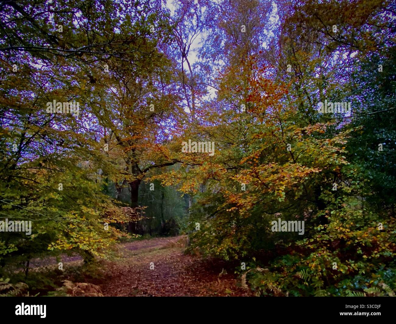 Colourful Pathway High Resolution Stock Photography and Images - Alamy