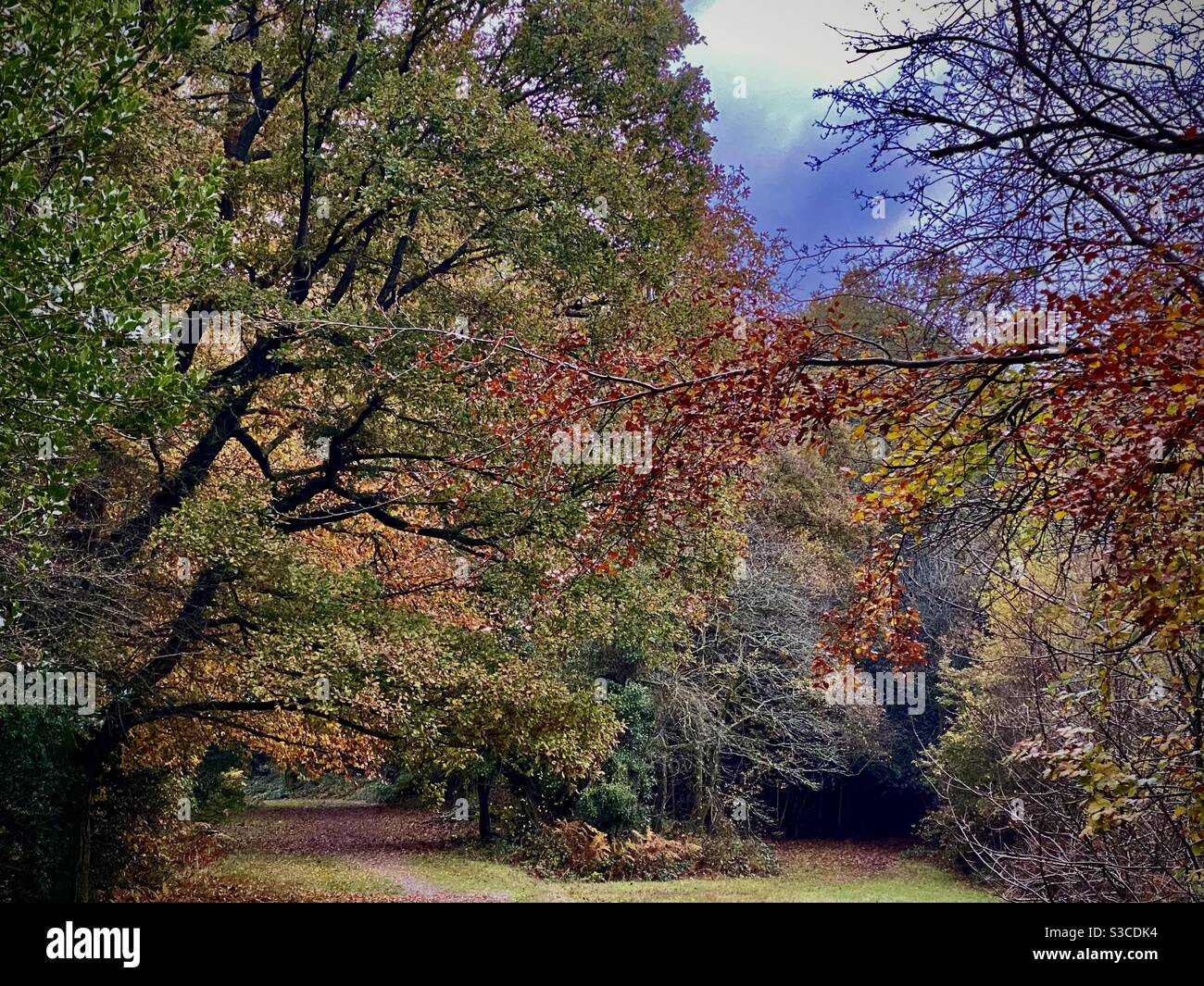 Pathways hi-res stock photography and images - Alamy