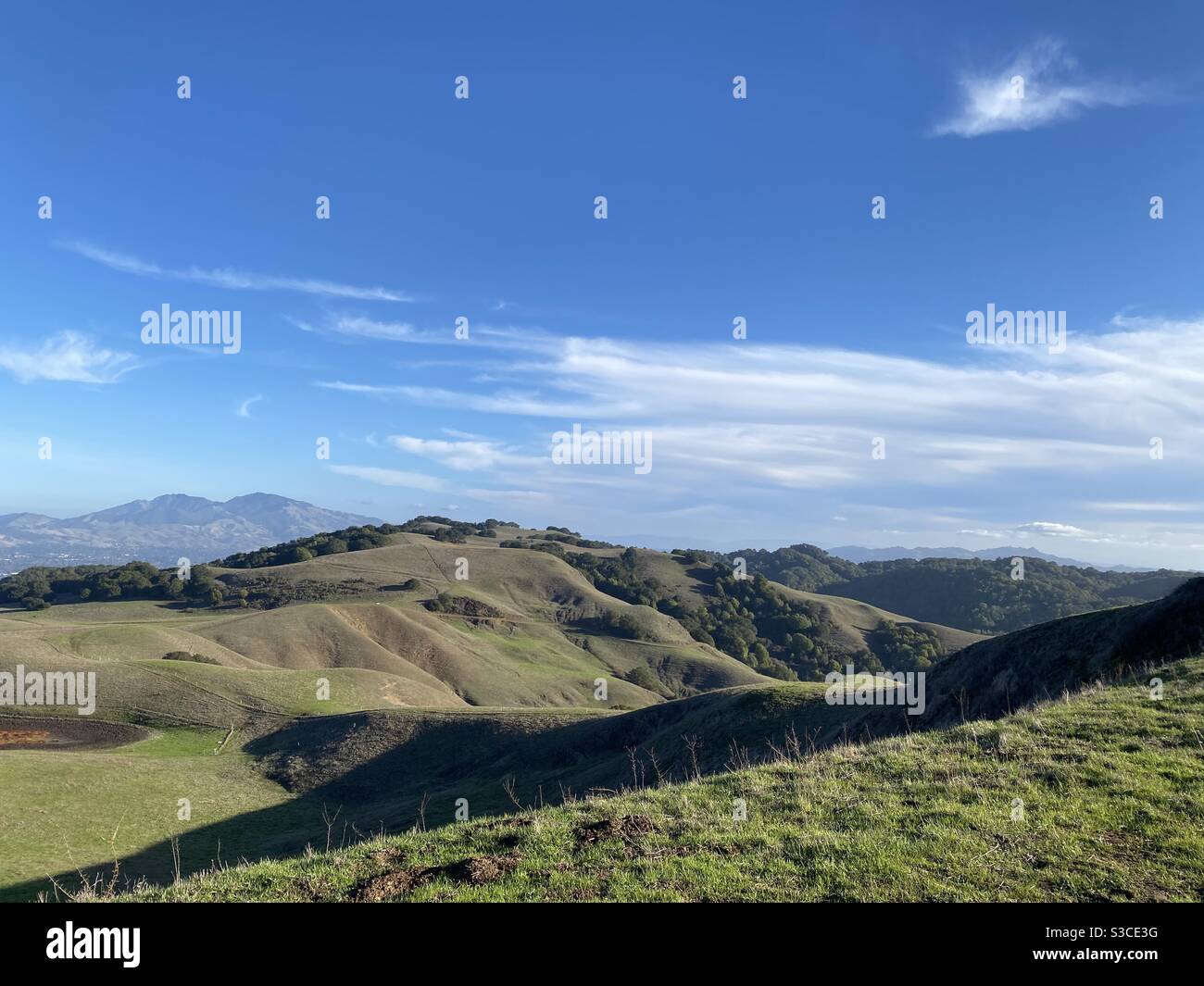 Turning Green High Resolution Stock Photography and Images - Alamy