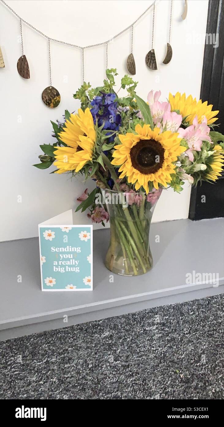 sending you a bug hug Stock Photo - Alamy