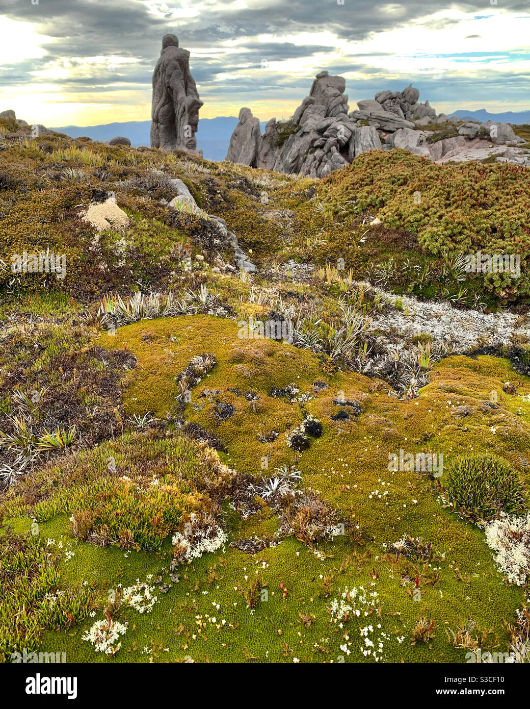 Tasmanian Wilderness World Heritage Area High Resolution Stock ...