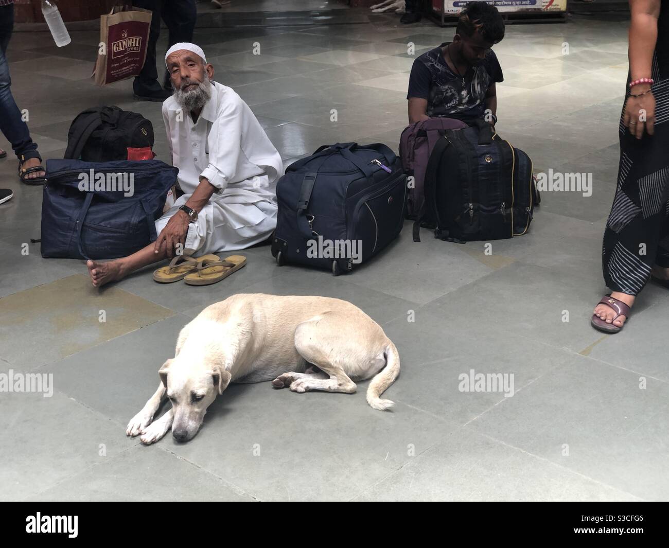 People with dog hi-res stock photography and images - Alamy