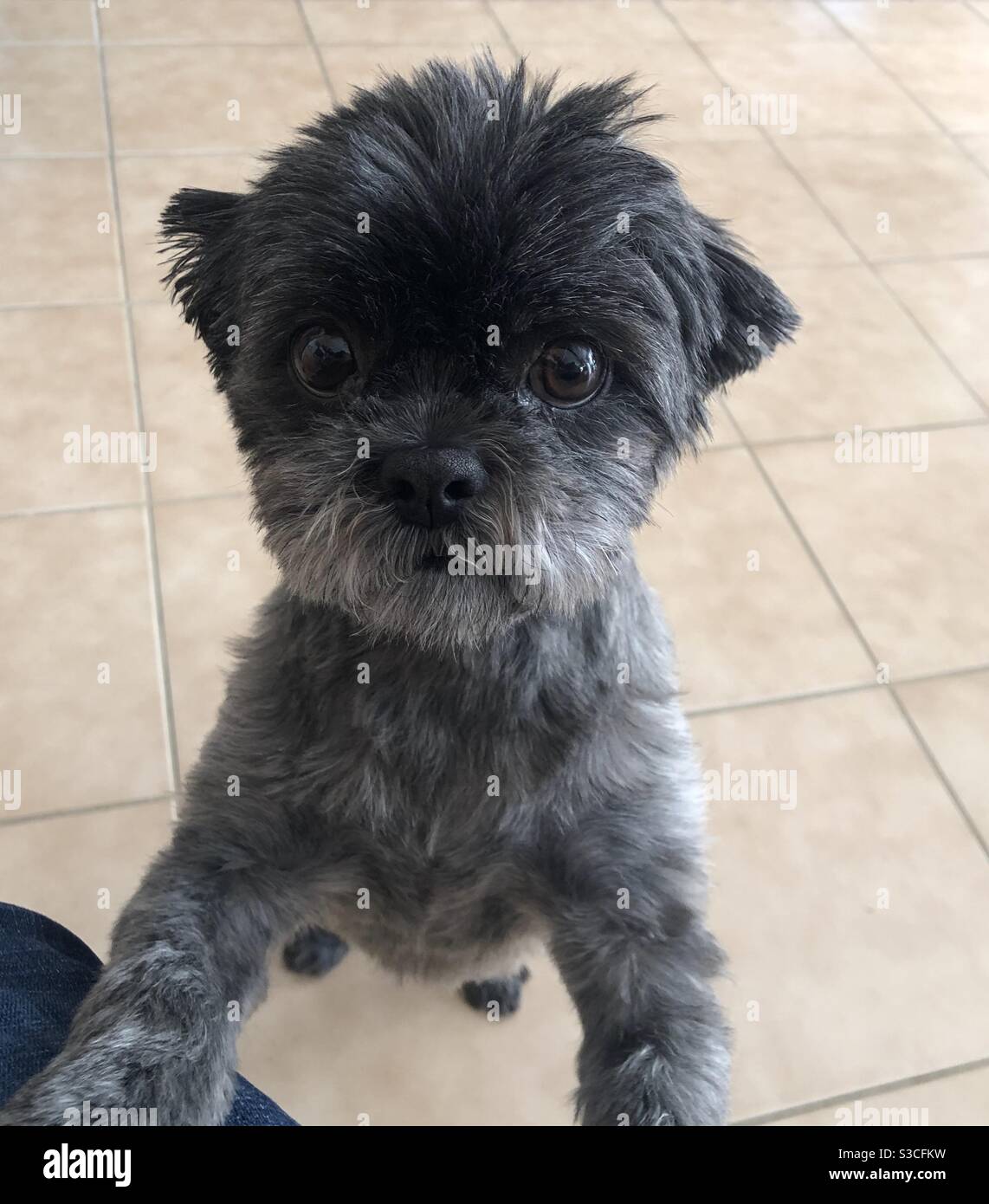 Cute cuteness adorable hi-res stock photography and images - Alamy