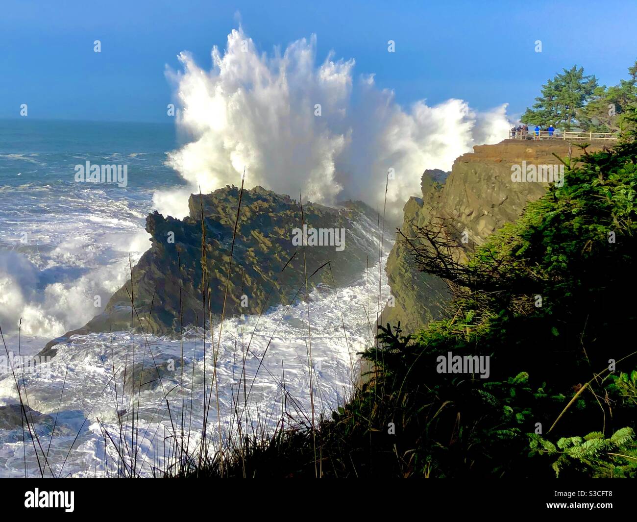 Storm surge breaking wave hundreds of feet tall. Pacific Ocean Shore ...
