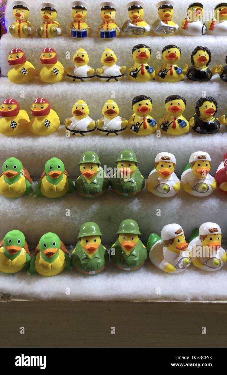 Army ducks hi-res stock photography and images - Alamy