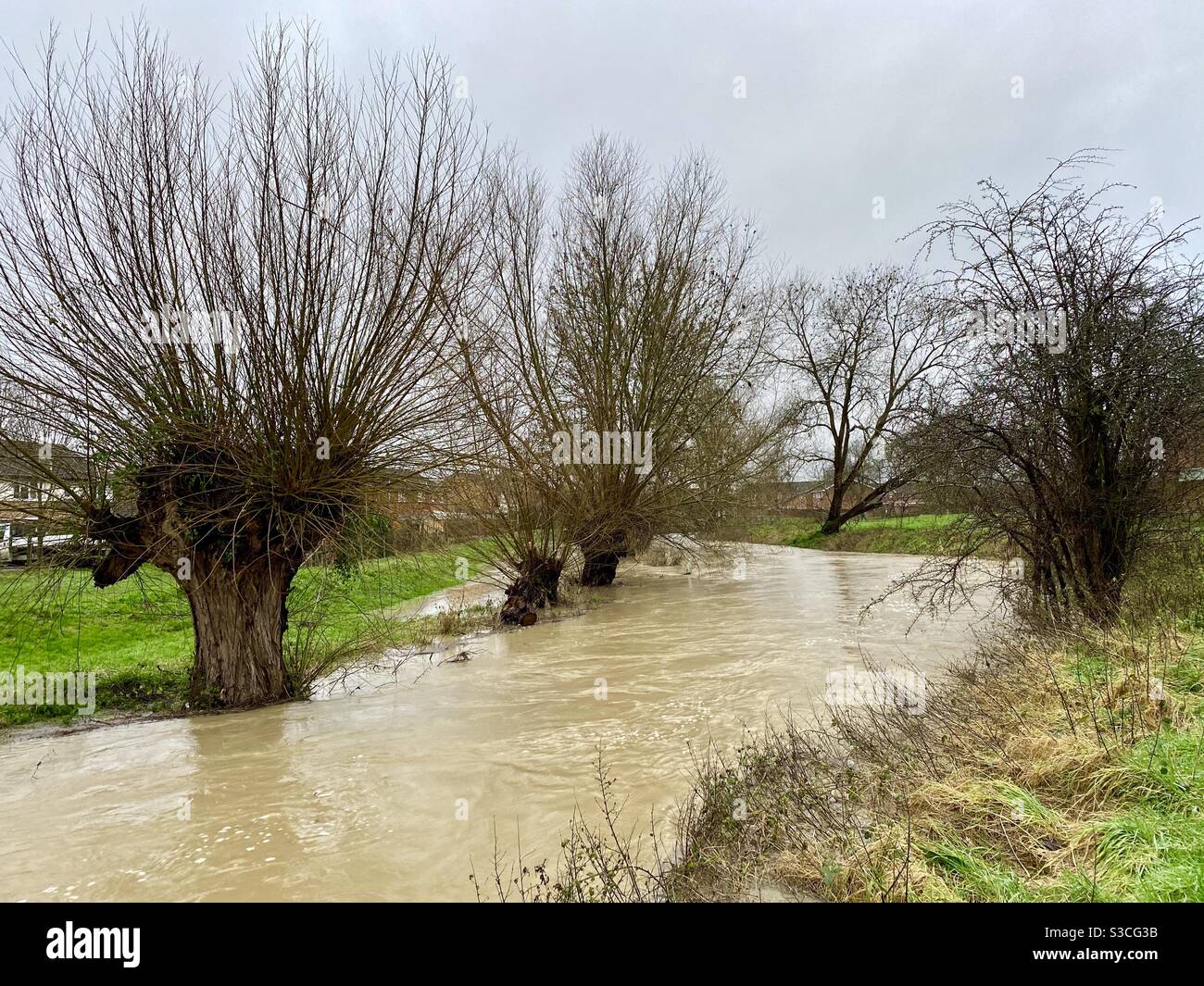 Clipstone hi-res stock photography and images - Alamy