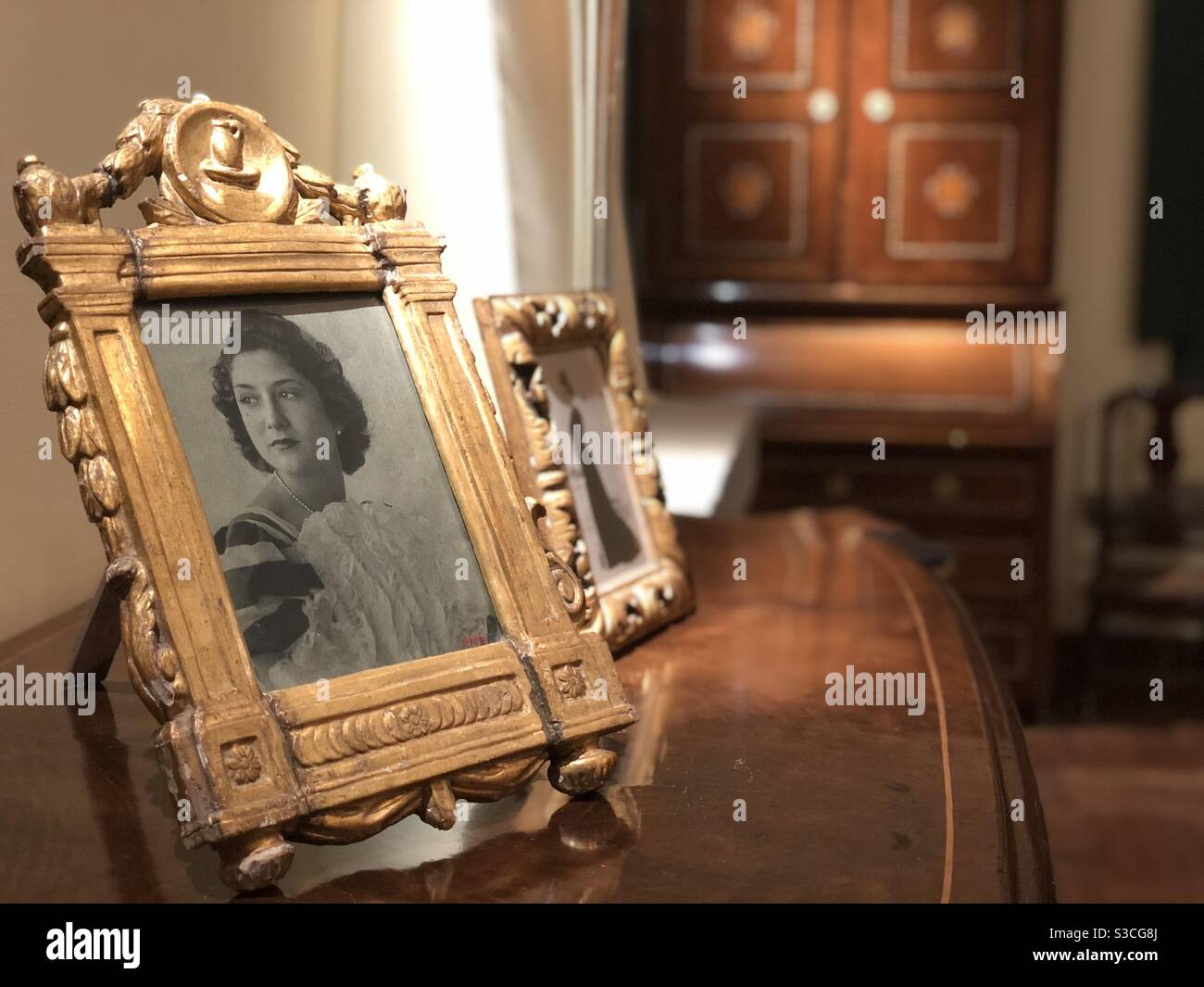 Portrait blurry background hi-res stock photography and images - Alamy