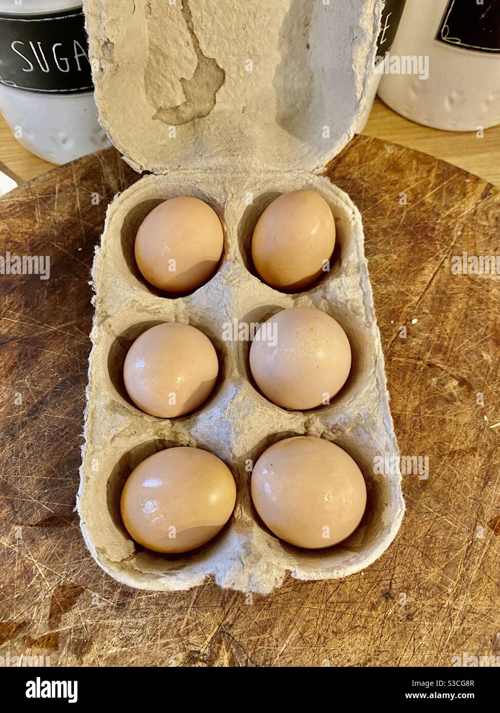 Own eggs hi-res stock photography and images - Alamy