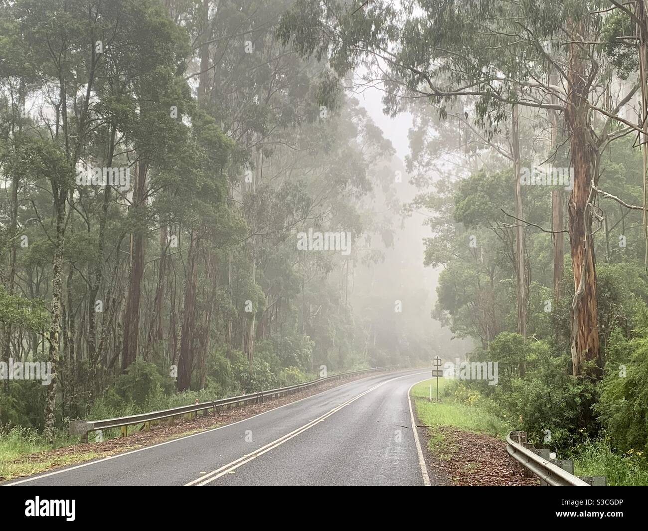 Otway ranges hi-res stock photography and images - Alamy