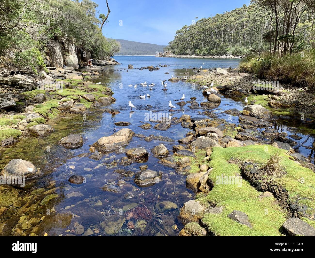 Bivouac bay hi-res stock photography and images - Alamy