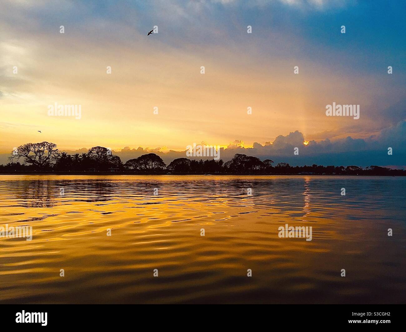 Tissa lake sri lanka hi-res stock photography and images - Alamy