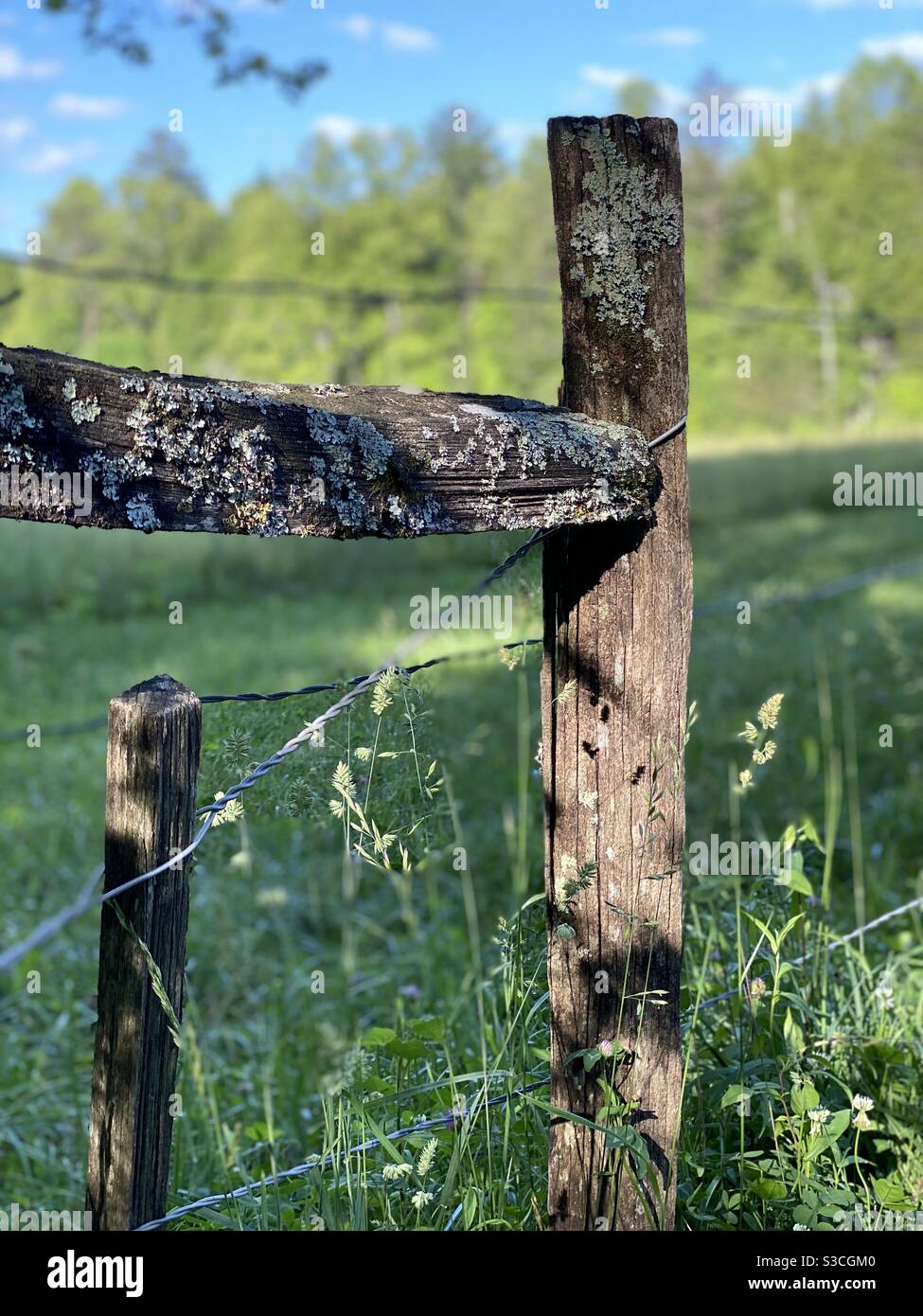 Wire and wood post fence hi-res stock photography and images - Alamy