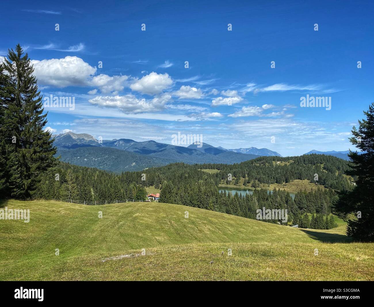 Mountain view with pine forests, green alpine meadows and lake ...