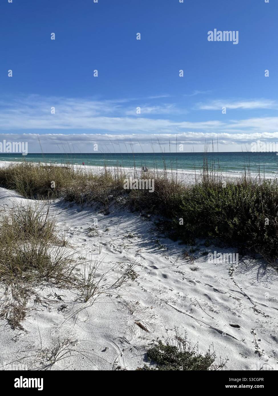 Florida beach sand dunes hi-res stock photography and images - Alamy