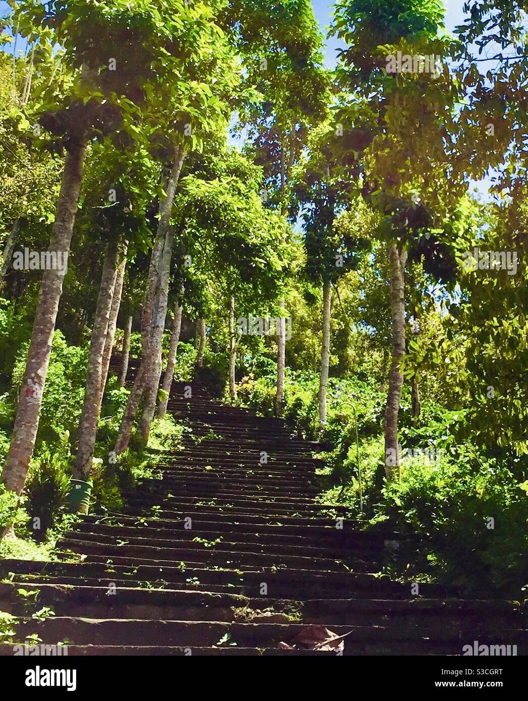 Steps to the temple... Bali Indonesia Stock Photo - Alamy