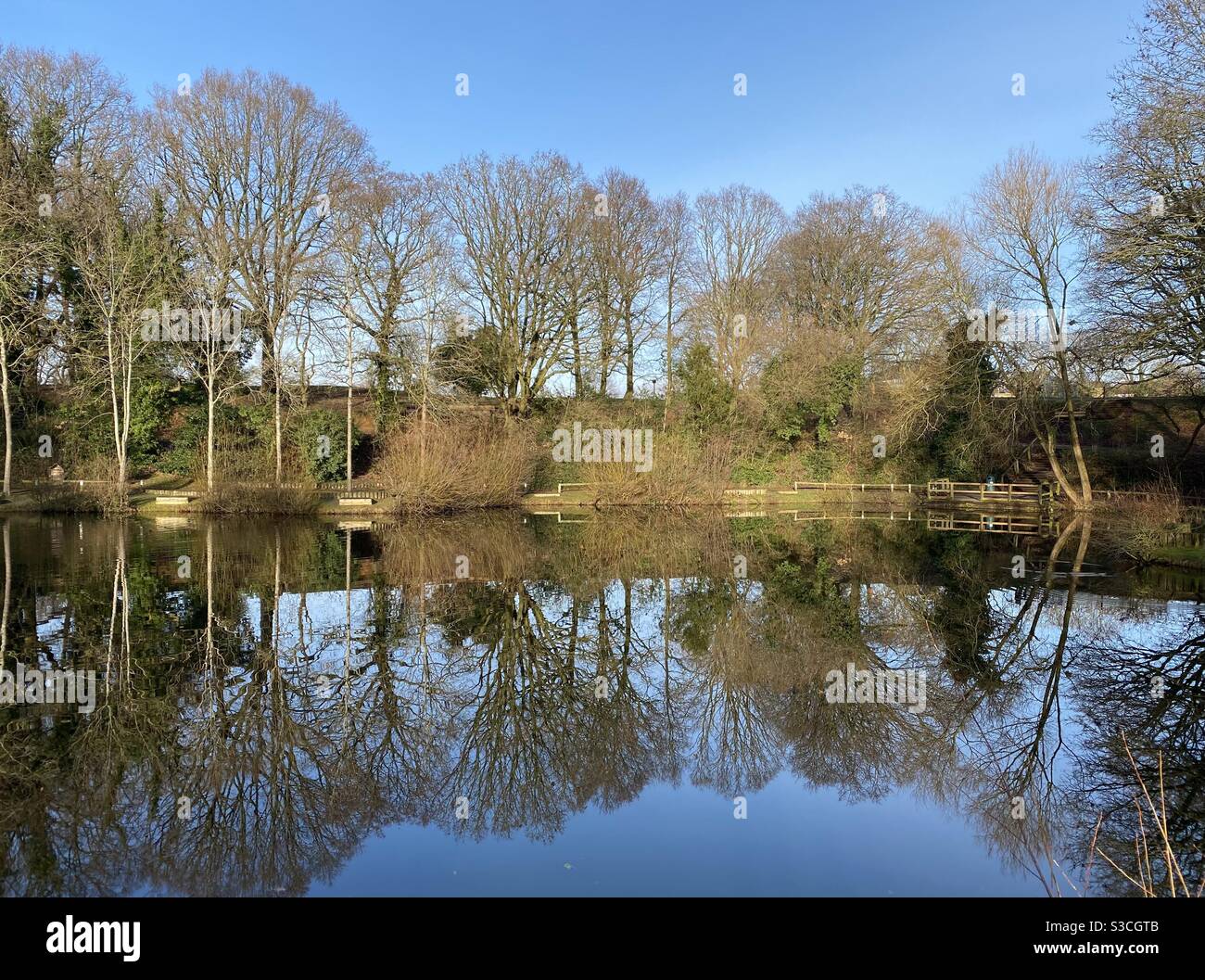 Reflective pond in winter Stock Photo - Alamy