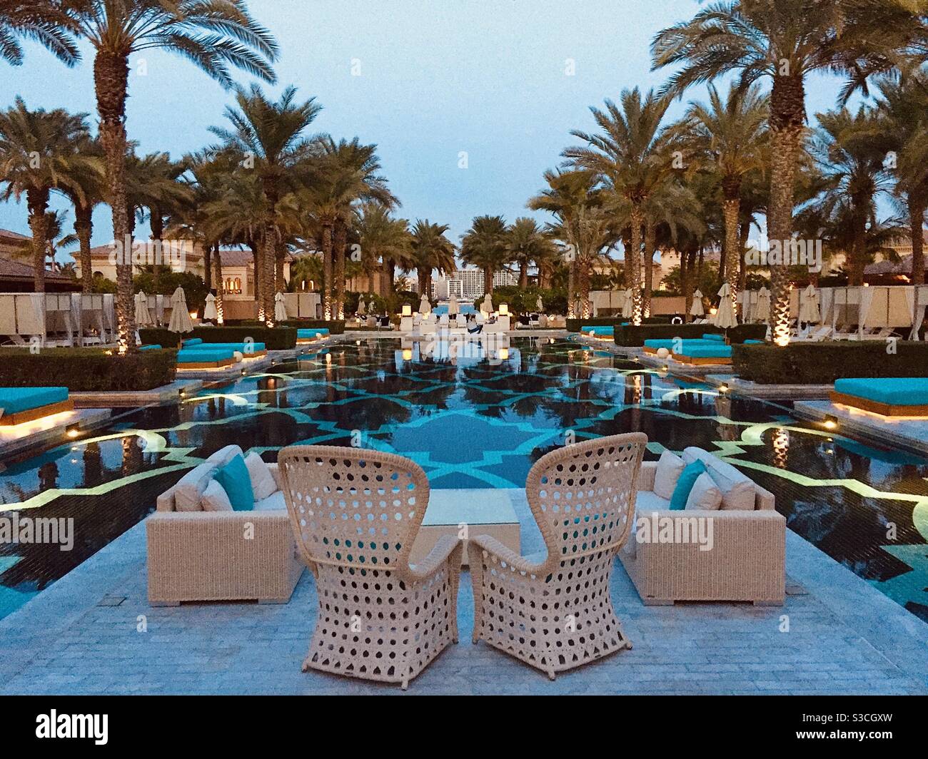 Giant palm trees hi-res stock photography and images - Alamy