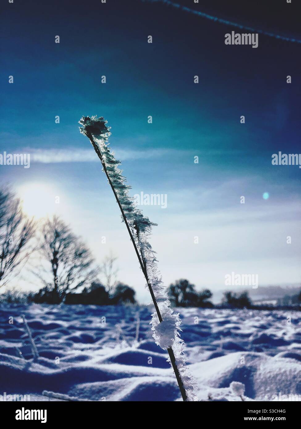 Snowy landscape with a filter applied for effect Stock Photo - Alamy