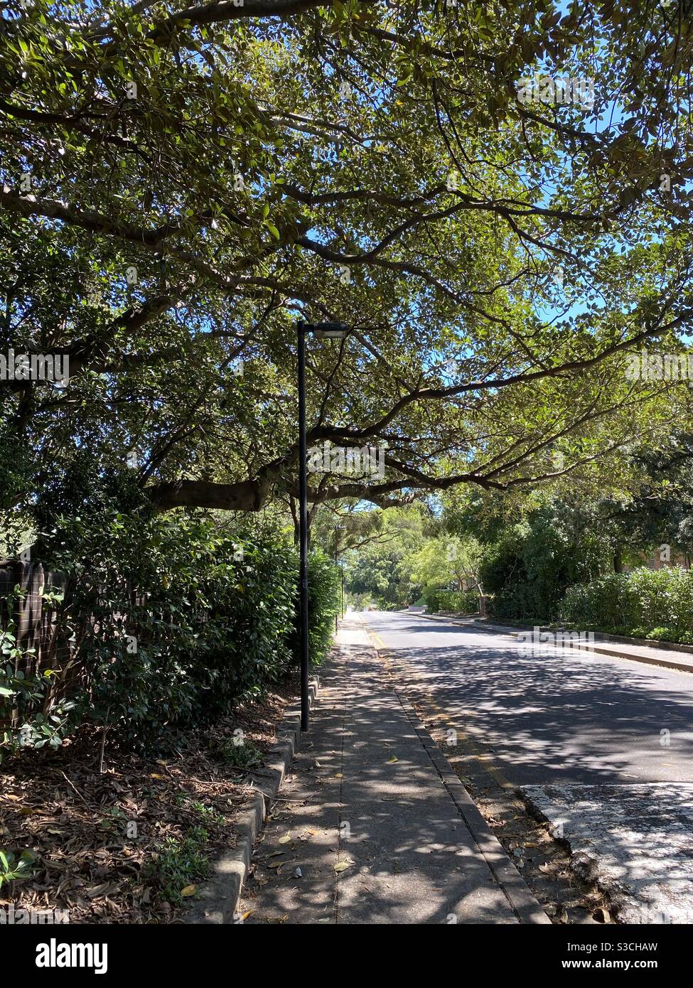 Straight Path Pathway High Resolution Stock Photography and Images - Alamy