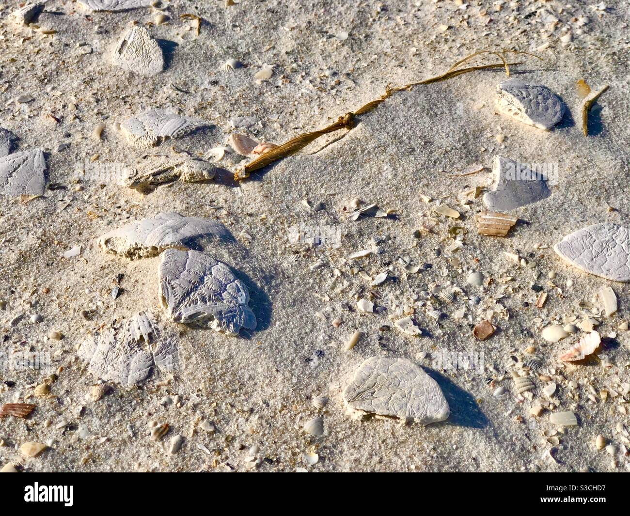 Sandy rock texture hi-res stock photography and images - Alamy