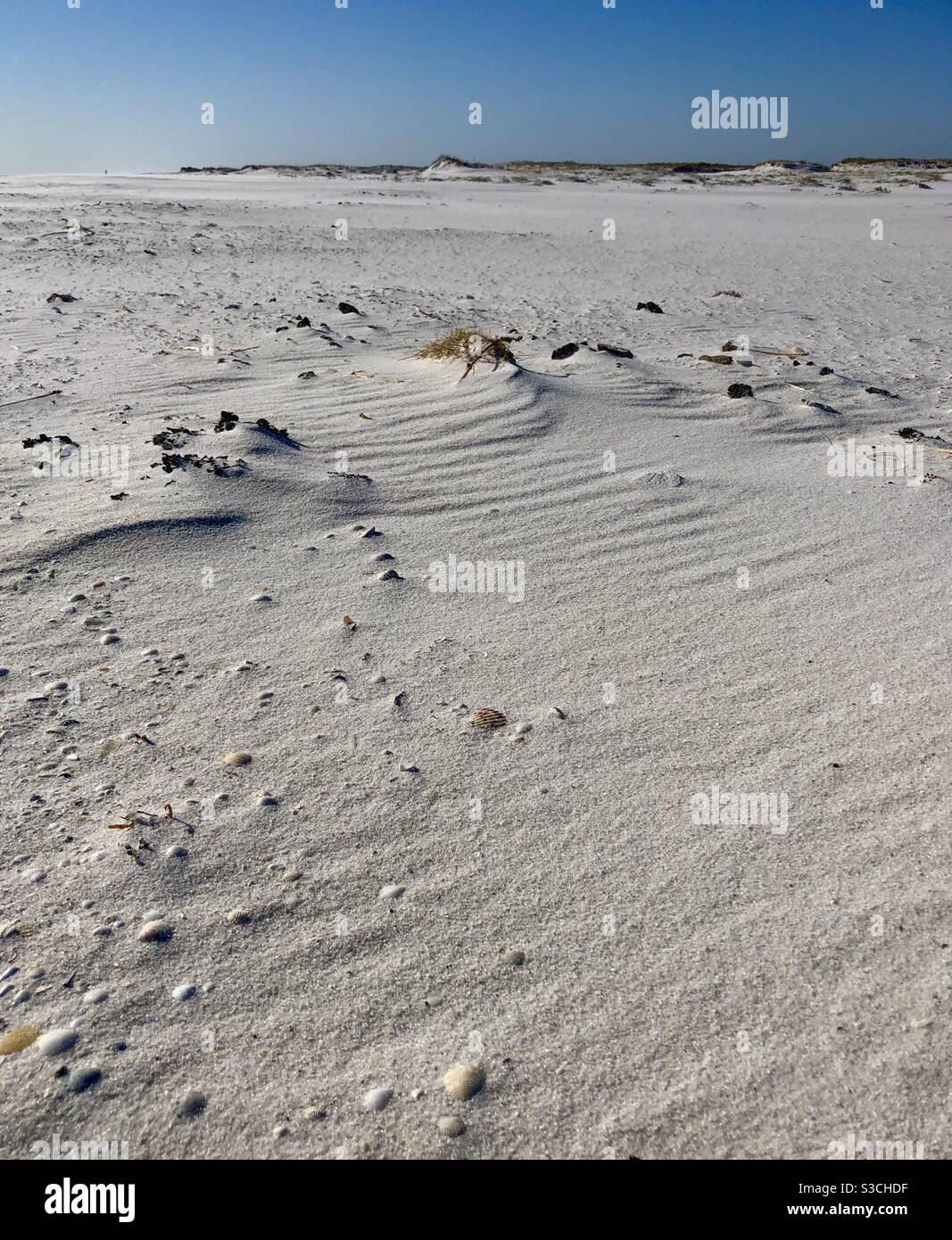 Strong coastal winds creating changing patterns in sand in bright ...