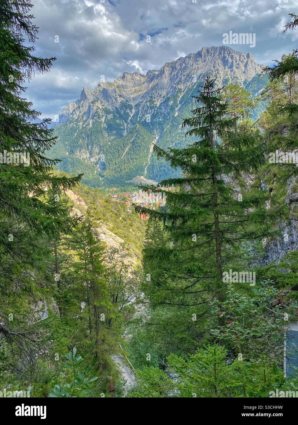 Mountain view framed by pine trees at Karwendel and part of the ...