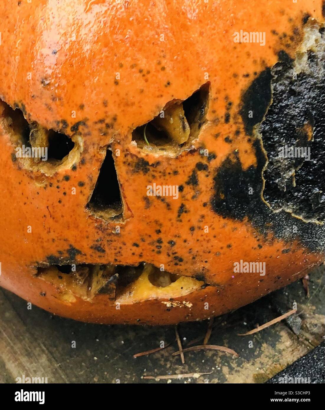 Mad jack hi-res stock photography and images - Alamy