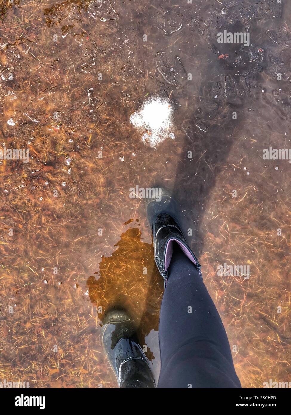 Stepping into a puddle of melting ice Stock Photo - Alamy