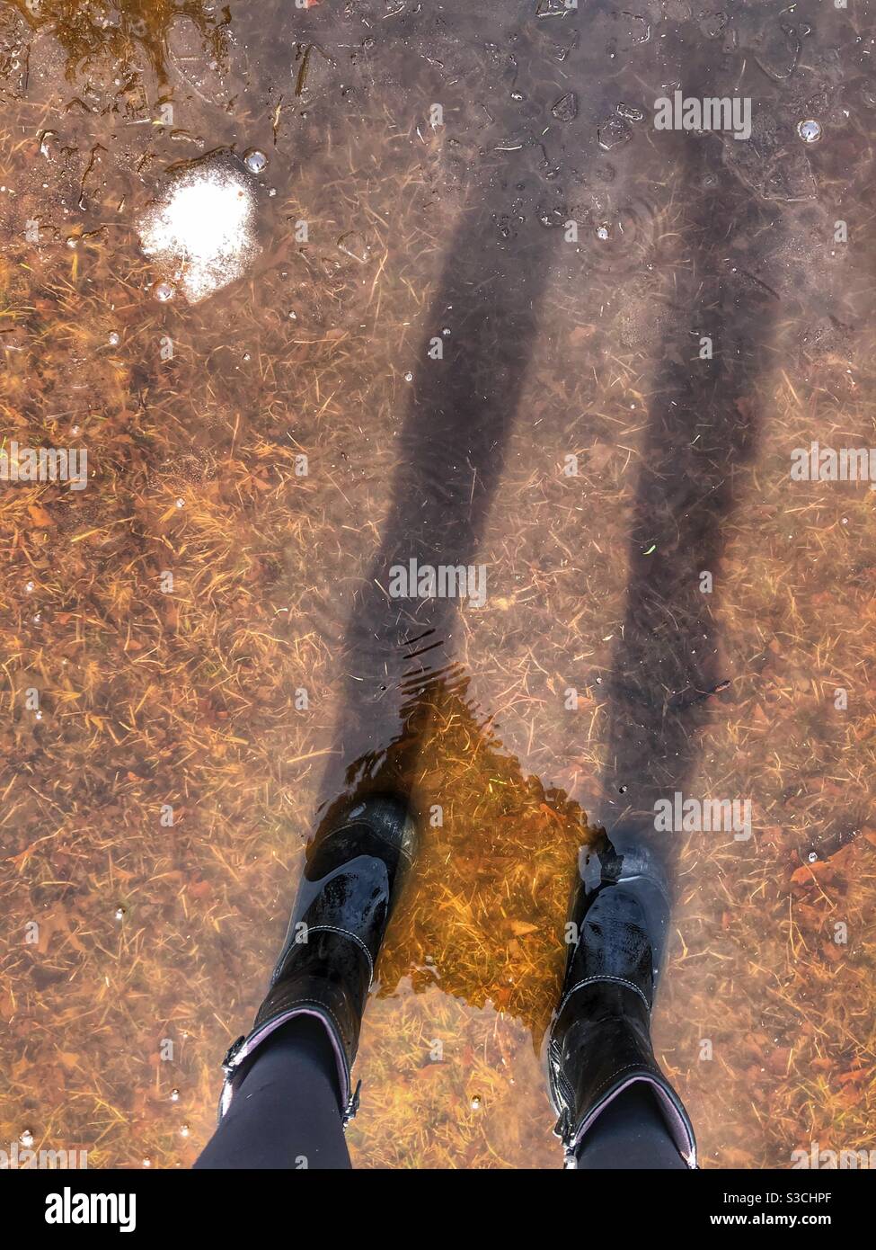 A woman stands in a puddle of melting ice Stock Photo - Alamy