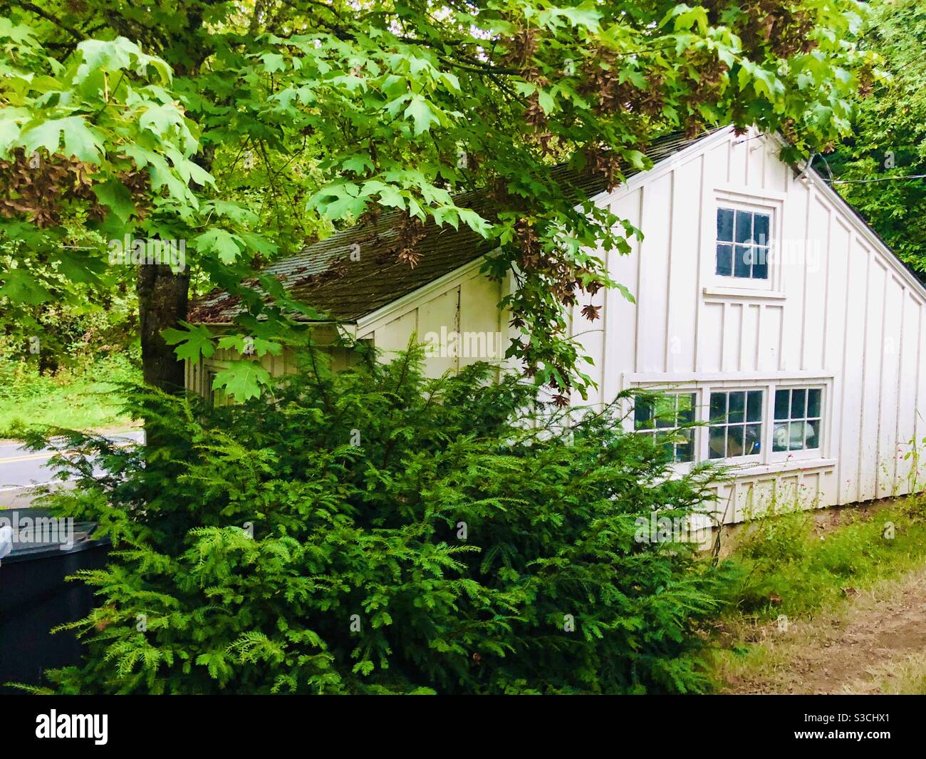 A charming white vintage hand built cottage peaks out from the vibrant ...
